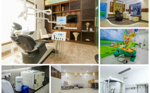 Apollo Dental’s Opinion On The New ‘visa On Arrival’ Proposal